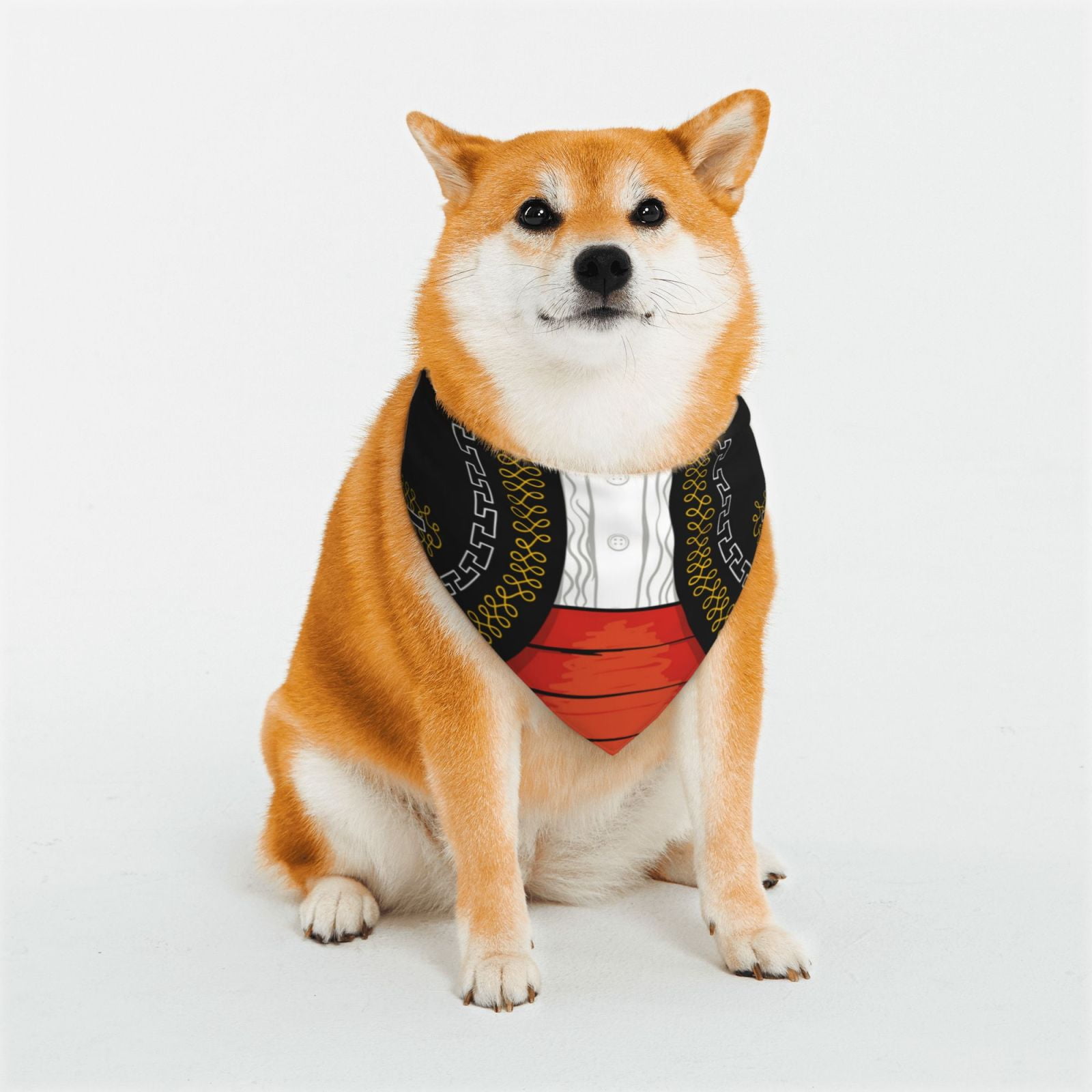 Easygdp CHARRO SUIT Premium Dog Bandanas Triangle Scarf, Suitable for ...
