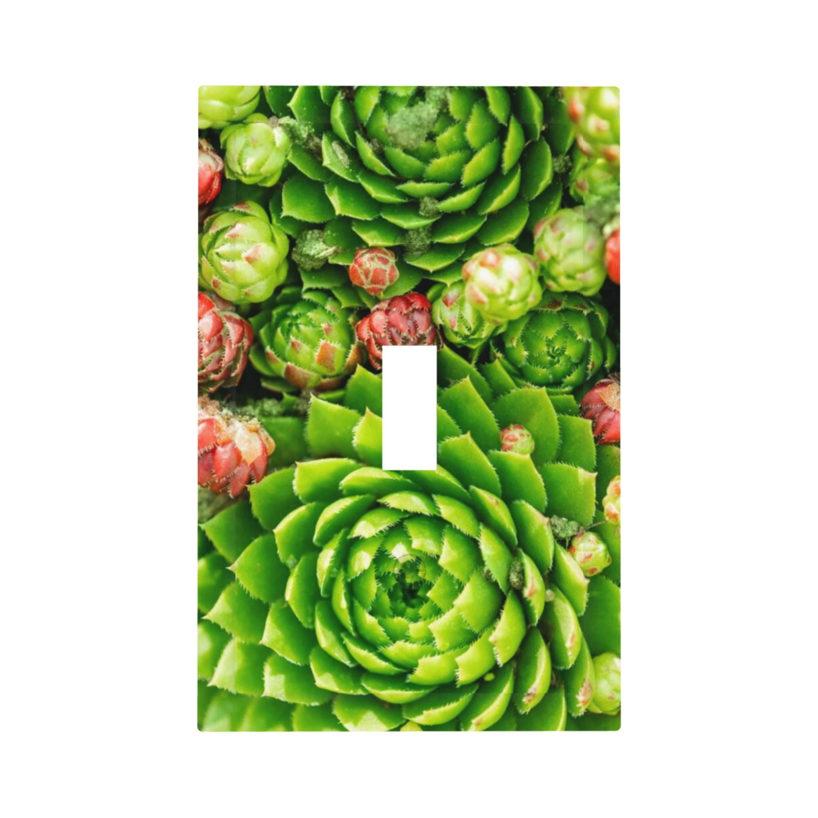 Easygdp Cactus And Succulents Decorator Light Switch or Receptacle ...