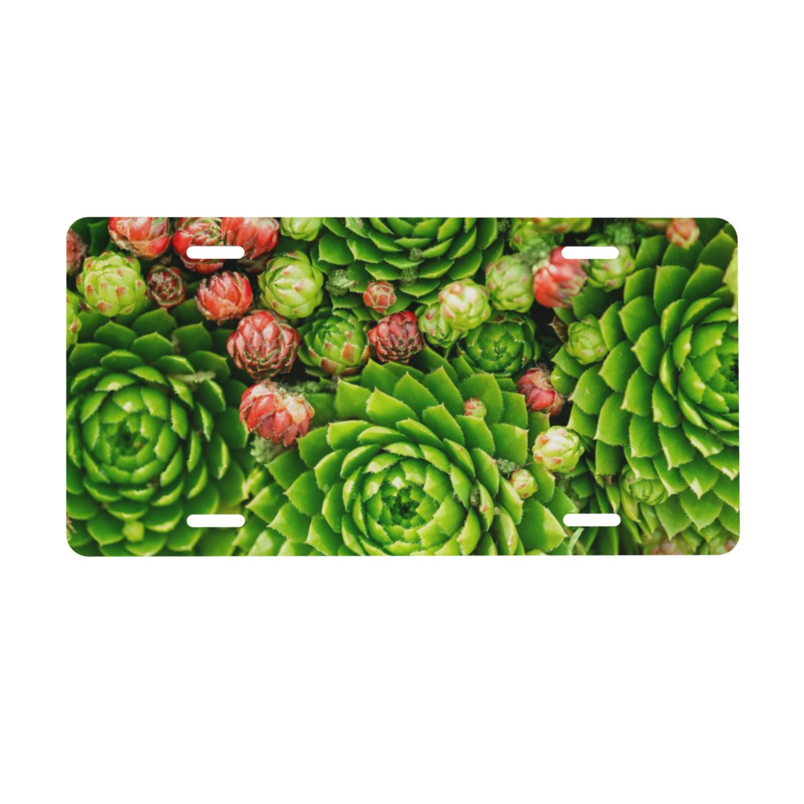 Easygdp Cactus And Succulents License Plate Car Front License Plate Car ...