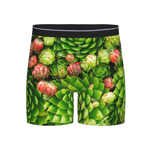 Easygdp Cactus And Succulents Men's Boxer Briefs Men’s Underwear Boxer ...