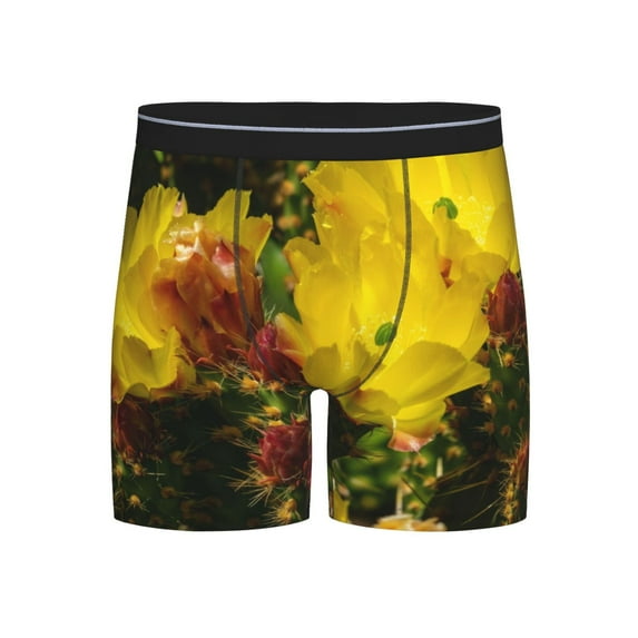 Easygdp Cactus Flowers Men's Boxer Briefs Men’s Underwear Boxer Briefs ...