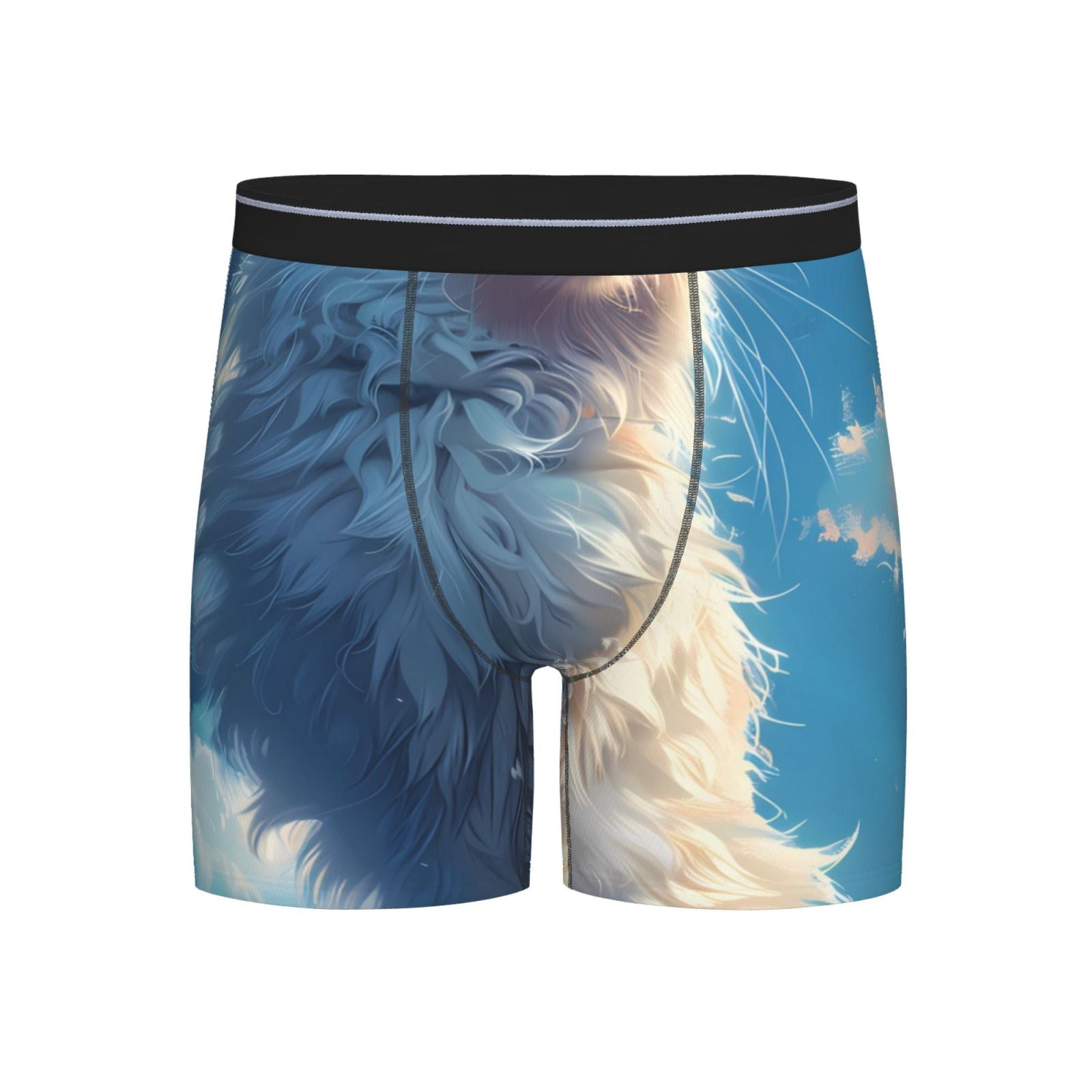 Easygdp Clear Sky Blue Cat Men's Boxer Briefs Men’s Underwear Boxer ...