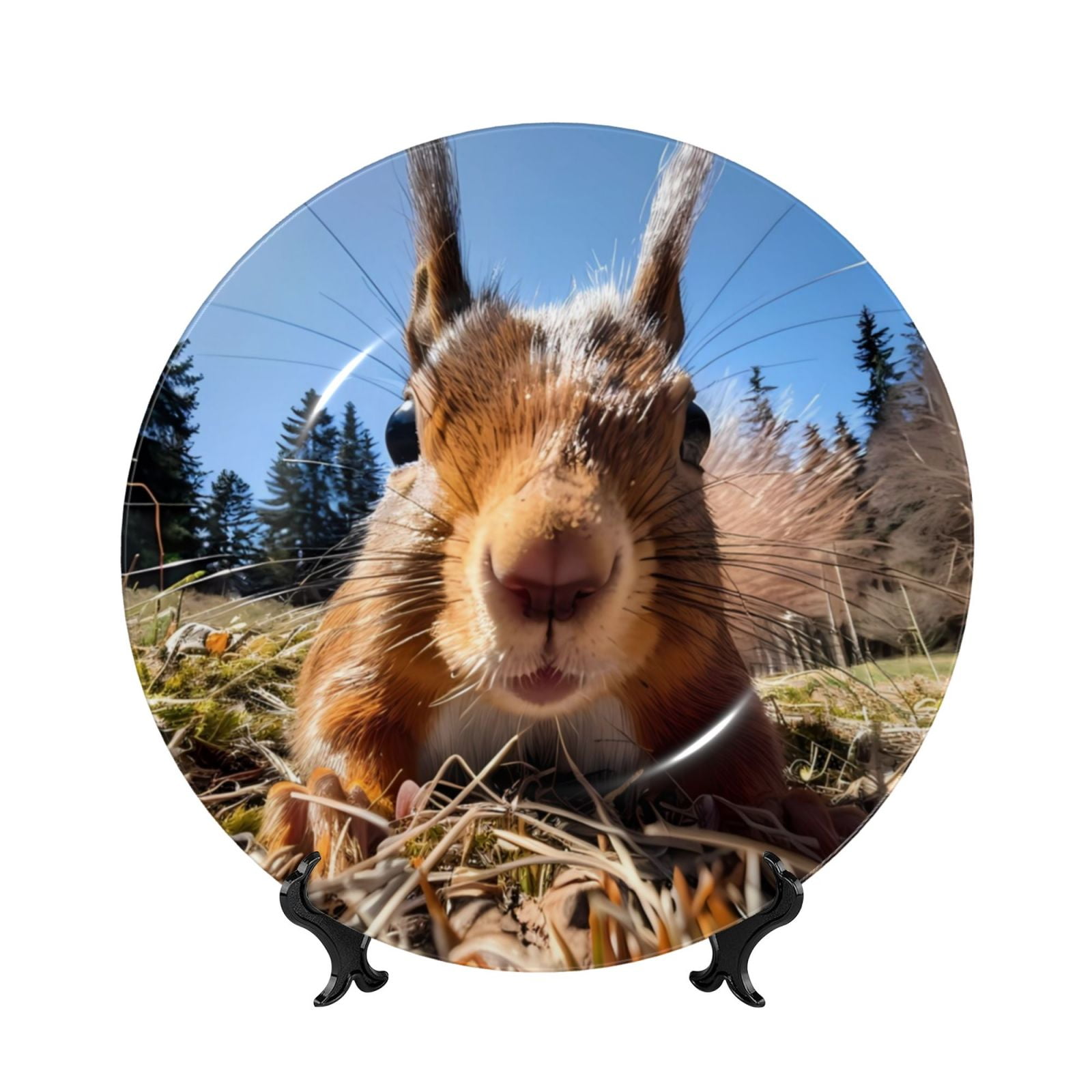 Easygdp Close-Up Curious Squirrel Bone China Decorative Plate Ceramic ...