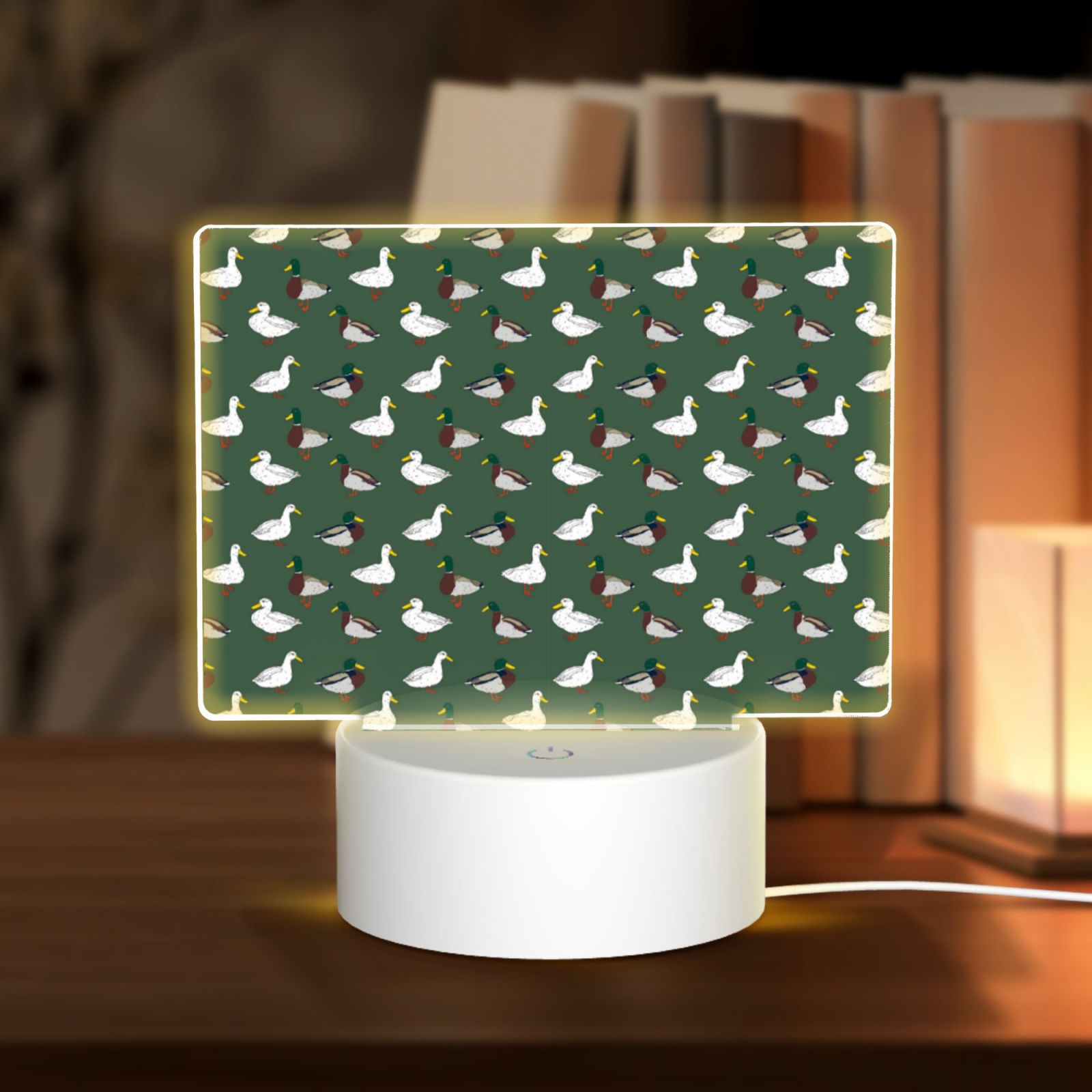 Easygdp Colorful Mallard Duck Rectangular Acrylic Night Light Acrylic ...