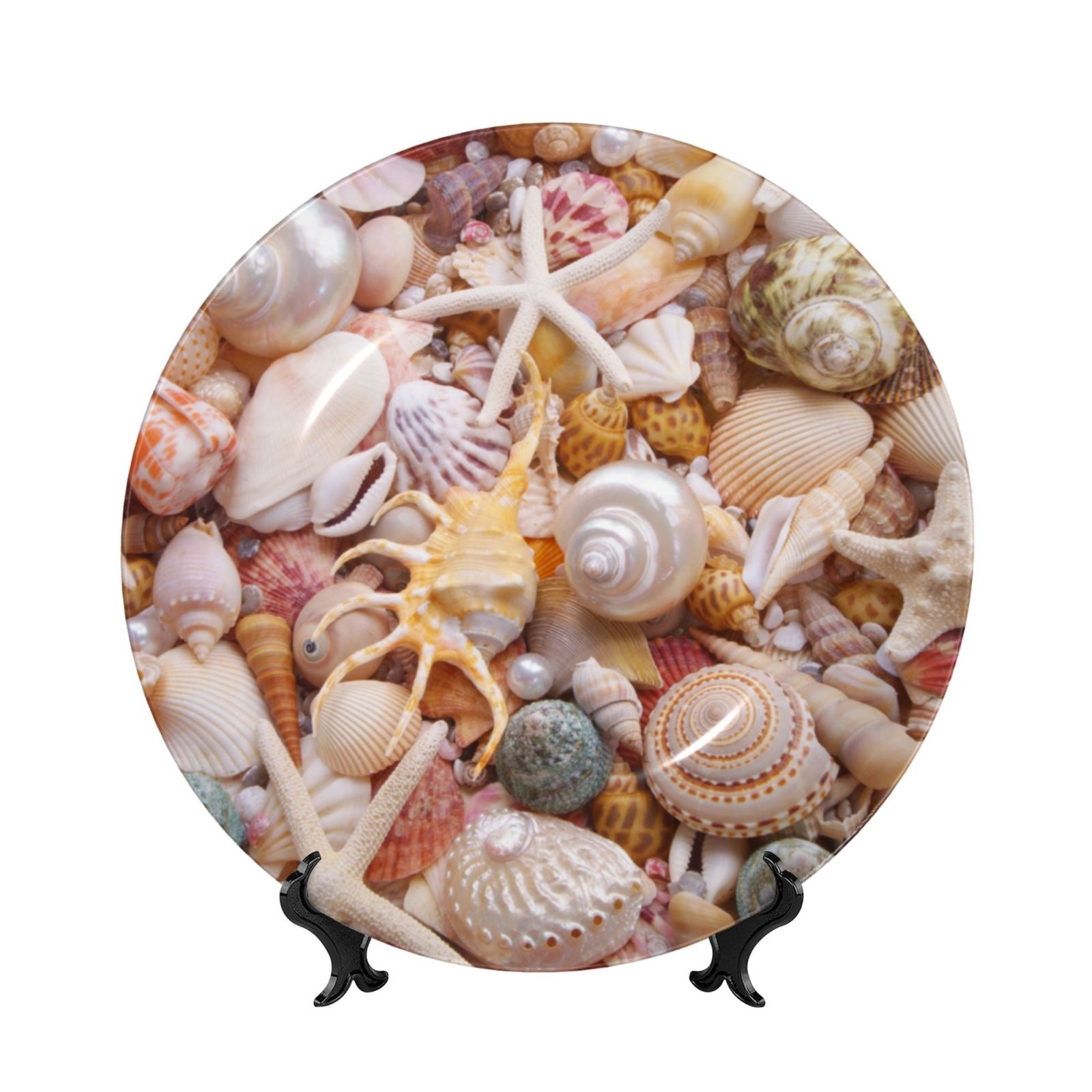 Easygdp Colorful Seashells Bone China Decorative Plate Ceramic Dinner ...