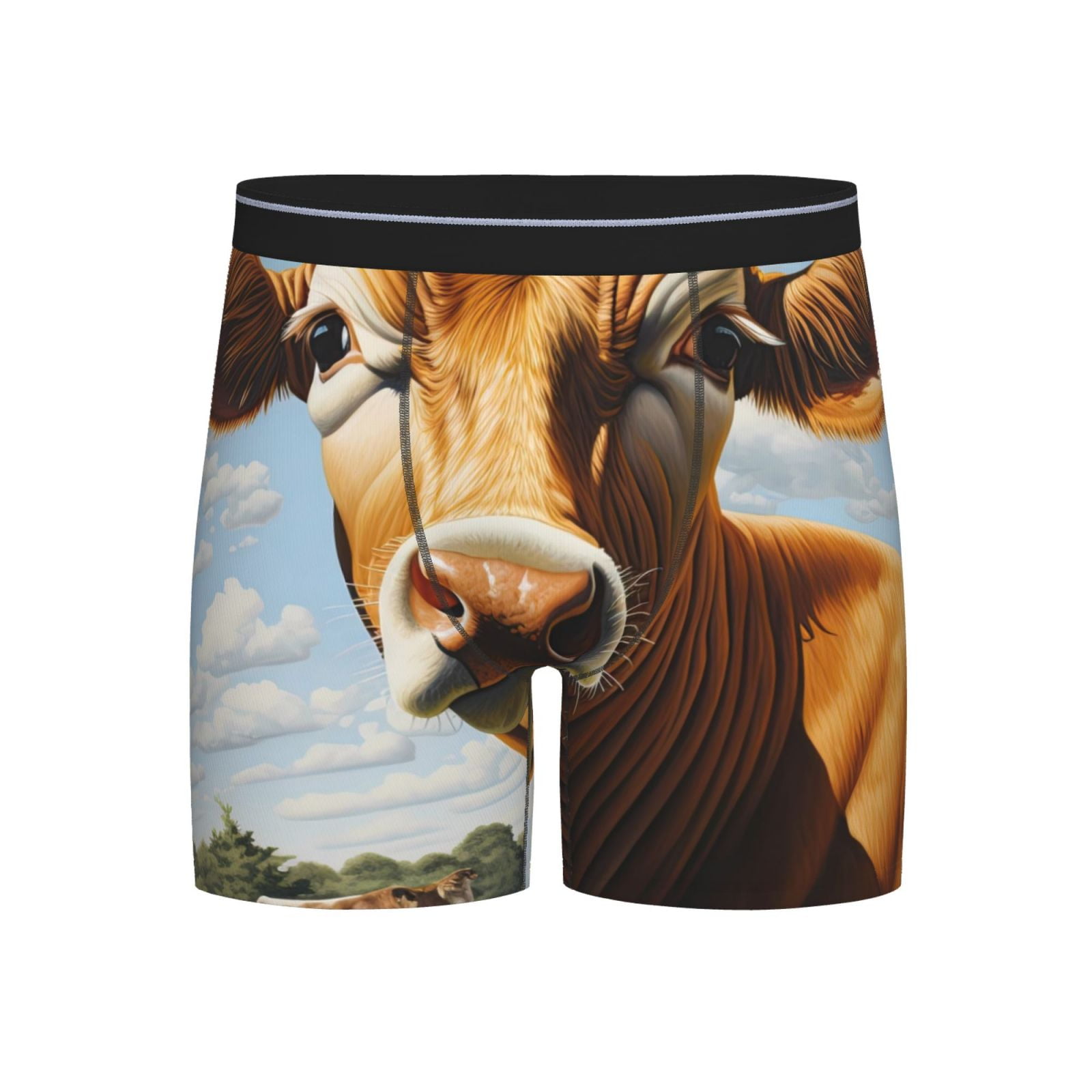 Easygdp Daisy Flower Field Cow Men's Boxer Briefs Men’s Underwear Boxer ...