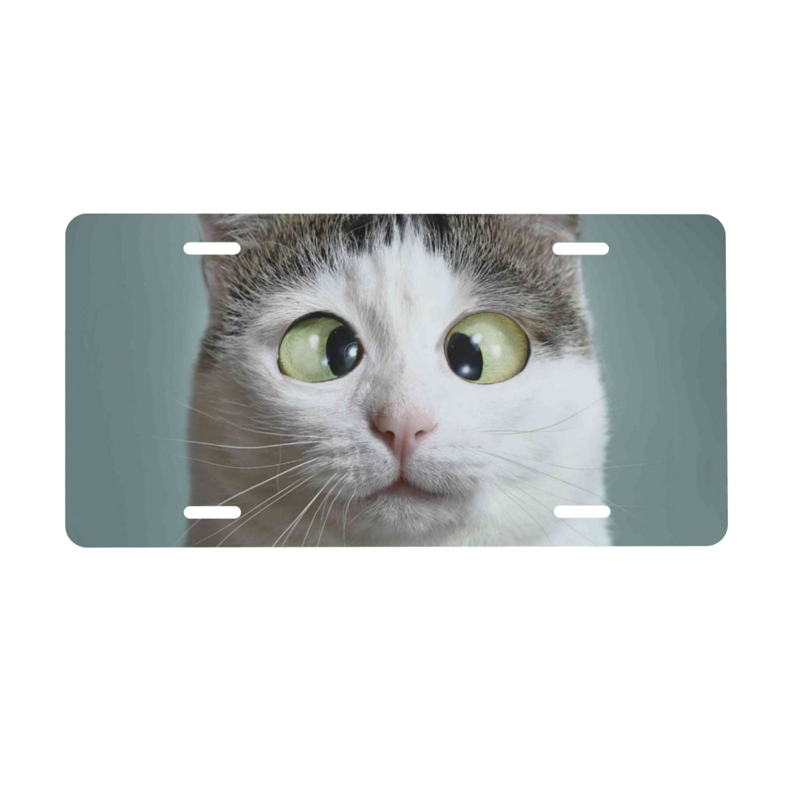 Easygdp Funny Cat License Plate Car Front License Plate Car Decoration ...
