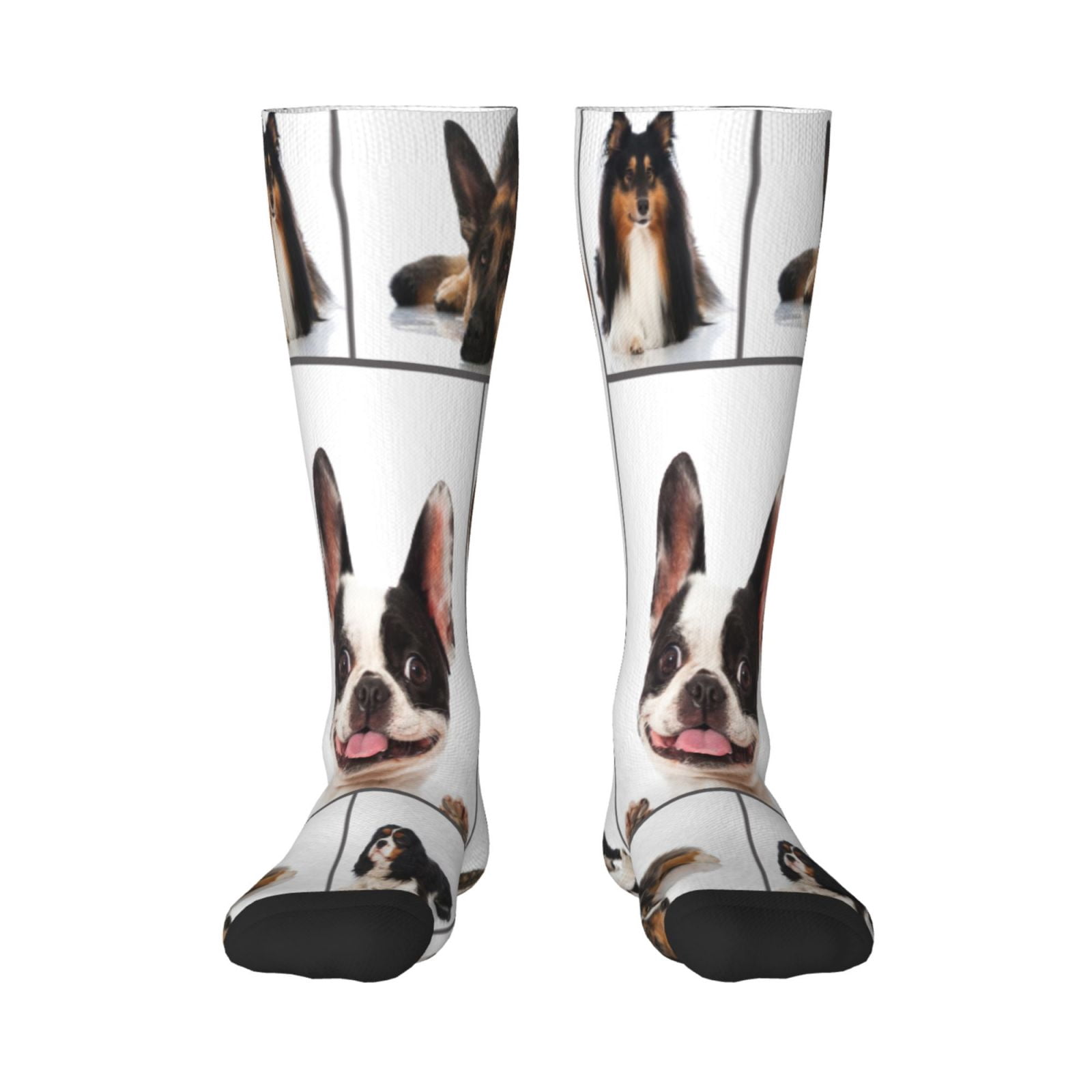 Easygdp Pedigree dogs collage Sport Knee High Socks Soccer Socks Calf ...