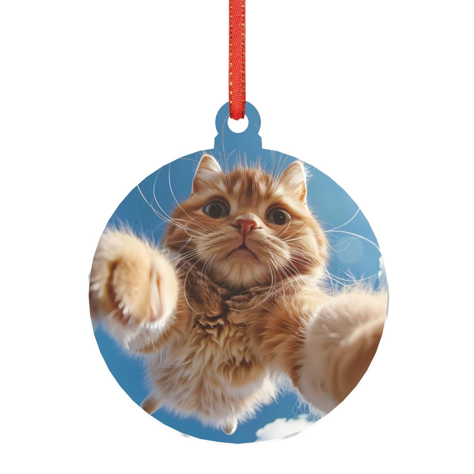 Easygdp Playful Cat Fisheye View Christmas Ornament Acrylic Christmas ...