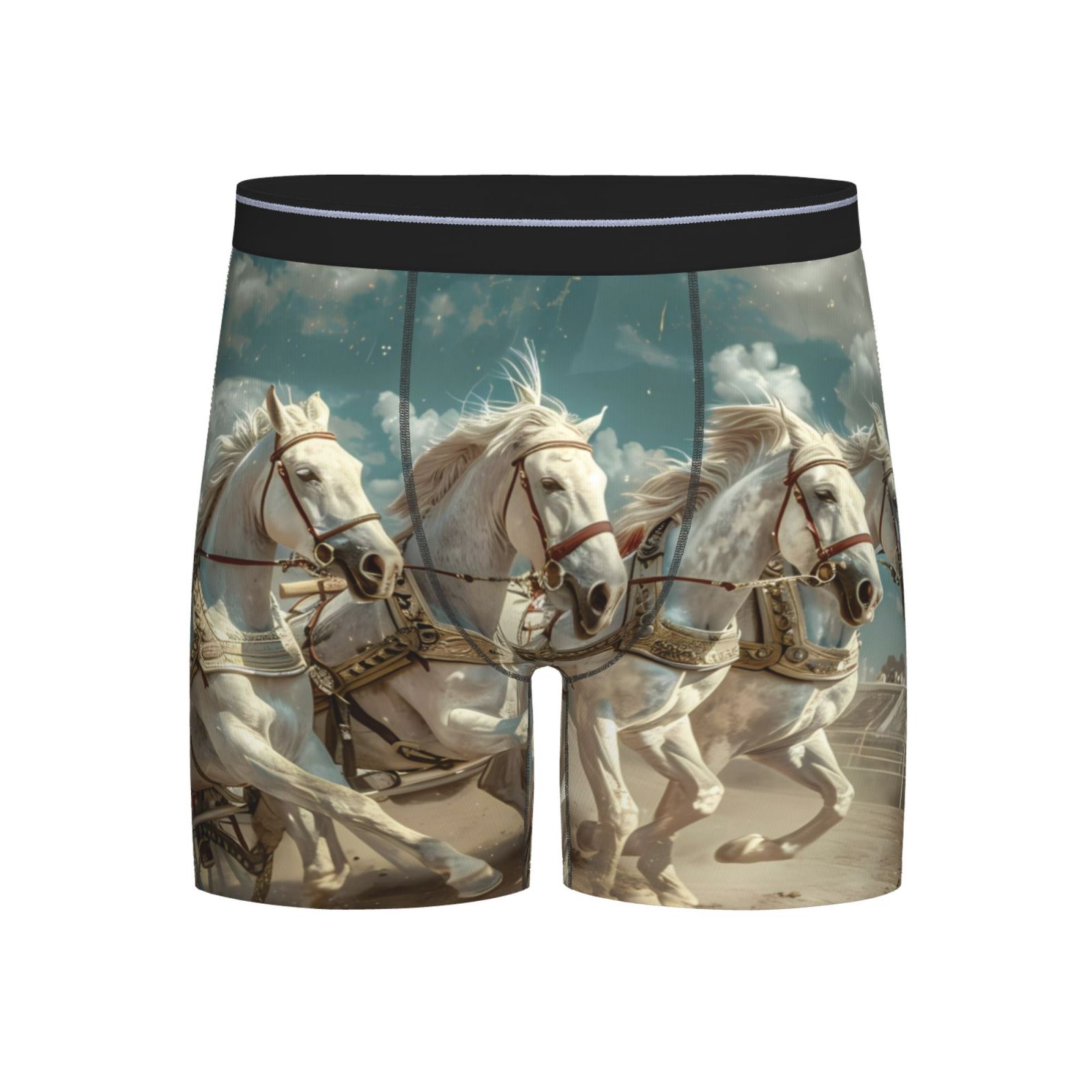 Easygdp Roman Chariot Horse Race Men's Boxer Briefs Men’s Underwear ...