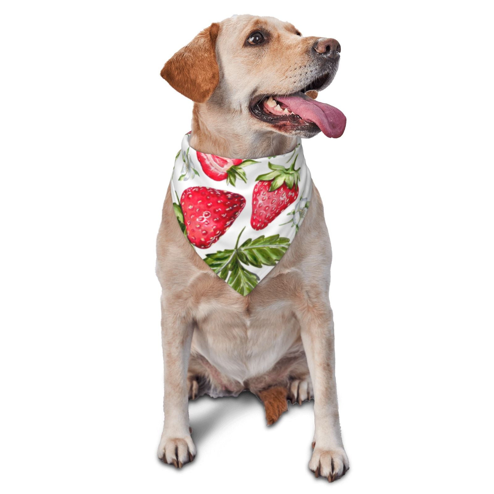 Easygdp Strawberry1 Pet Scarf, Dog Triangle Scarf, Printing Dog Bib ...