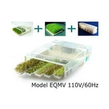 Easygreen Seed Sprouts and Microgreen Sprouter - Automatic Sprouting ...