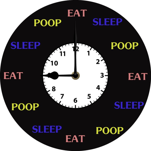 Eat Sleep Poop Wall Clock, Funny Bathroom Wall Clock, Birthday Gifts ...