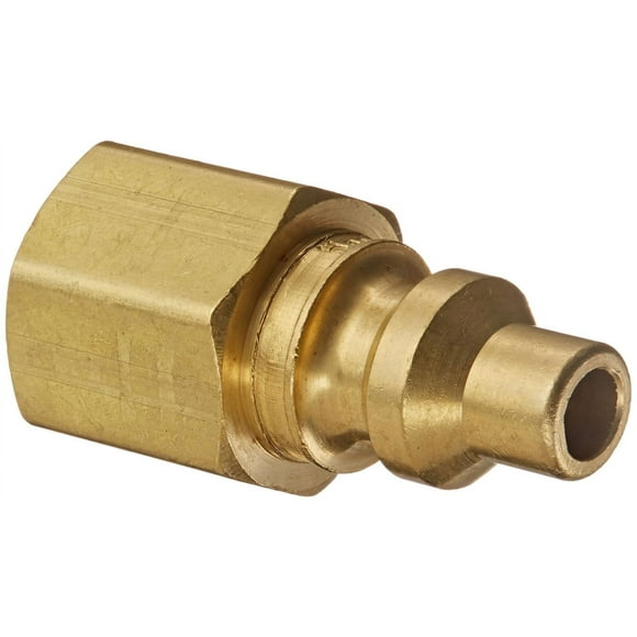 Female Body Inflation