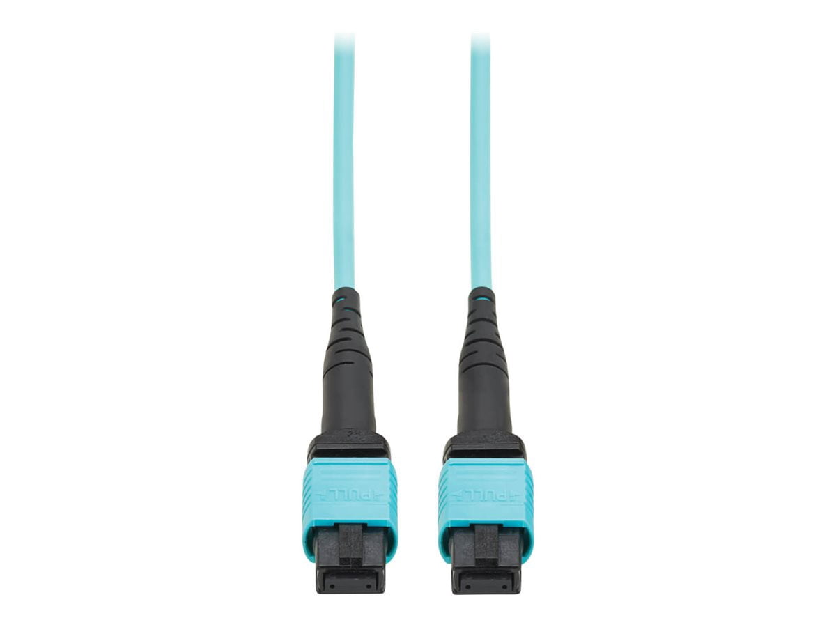 Eaton Tripp Lite Series 100G Multimode 50/125 OM4 Fiber Optic Cable ...