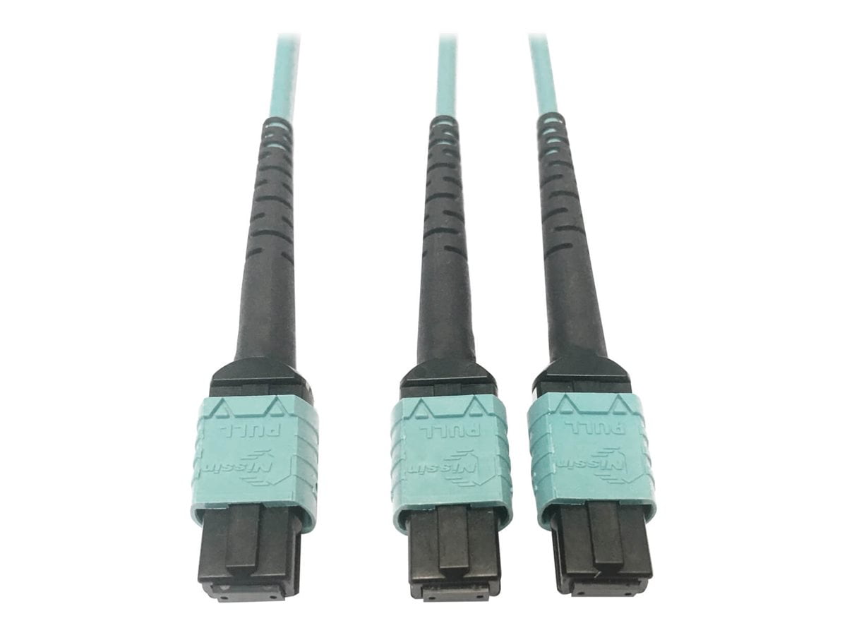Eaton Tripp Lite Series 400G Multimode 50/125 OM4 Plenum Fiber Optic ...