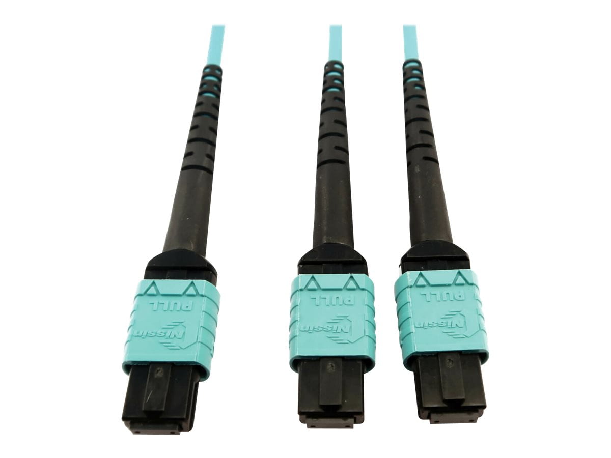 Eaton Tripp Lite Series 400G Multimode 50/125 OM4 Plenum Fiber Optic ...