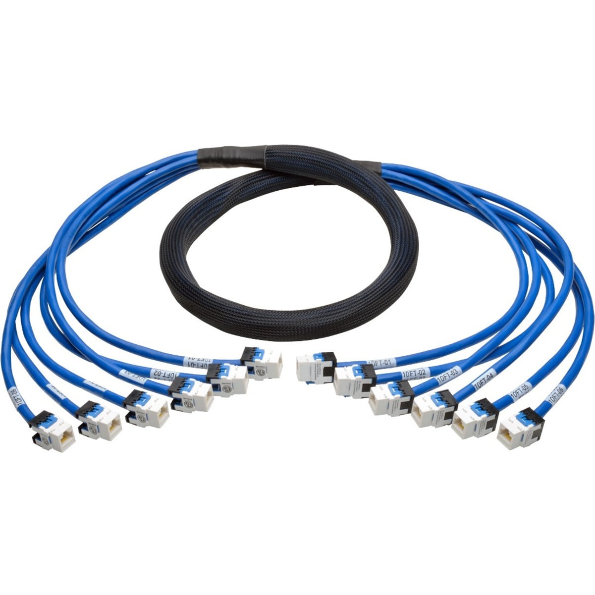 Tripp Lite 10ft Augmented Cat6 Cat6a Pre-Terminated Copper Trunk Bundle ...
