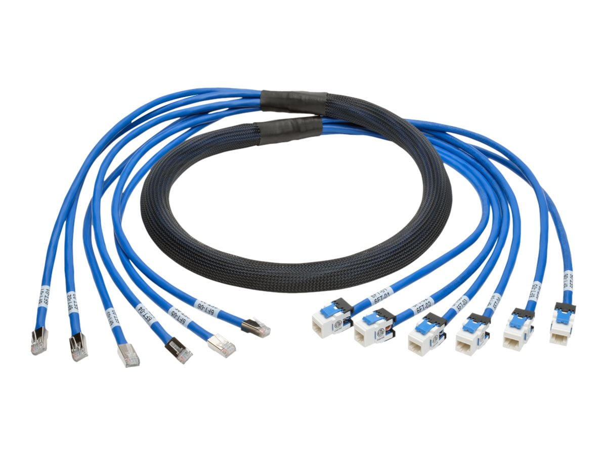 Tripp Lite 6ft Augmented Cat6/Cat6a Pre-Terminated Copper Trunk Bundle ...