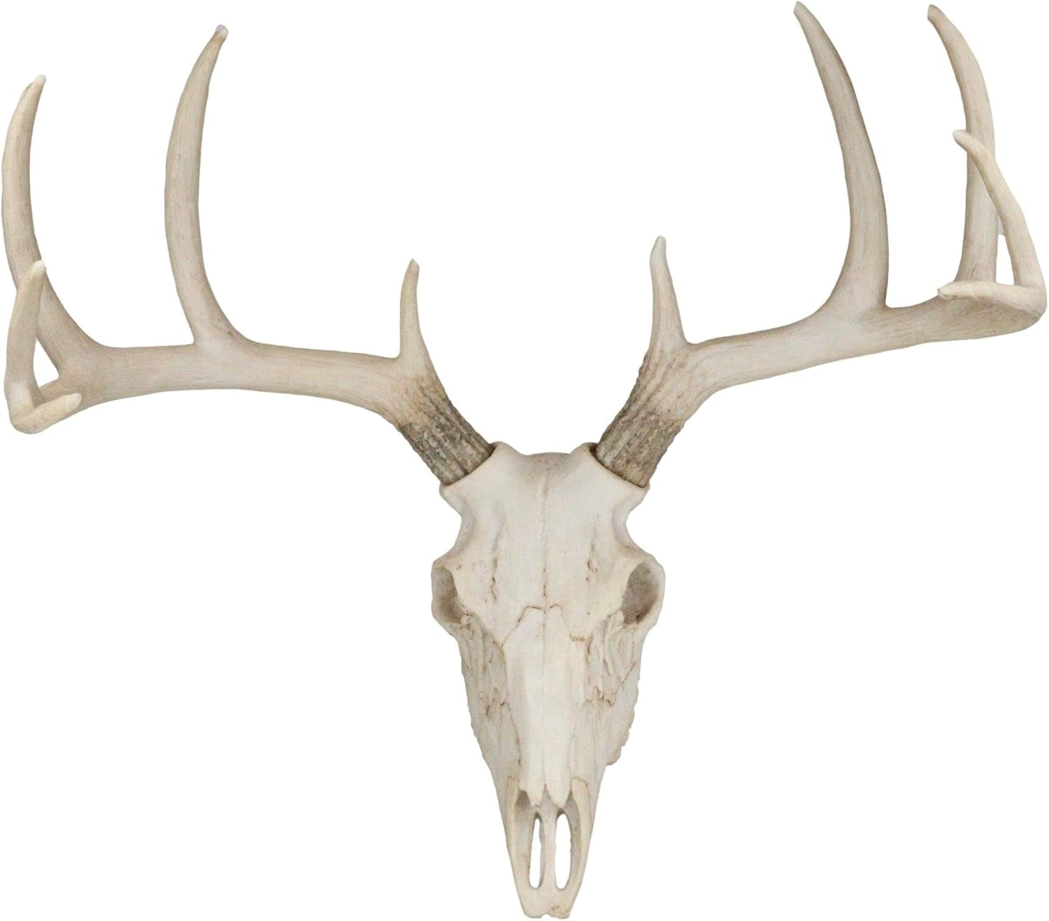 Ebros 18.5"L 10 Point Head Wall Mount Resin Stag Deer Antler Rack Bust ...