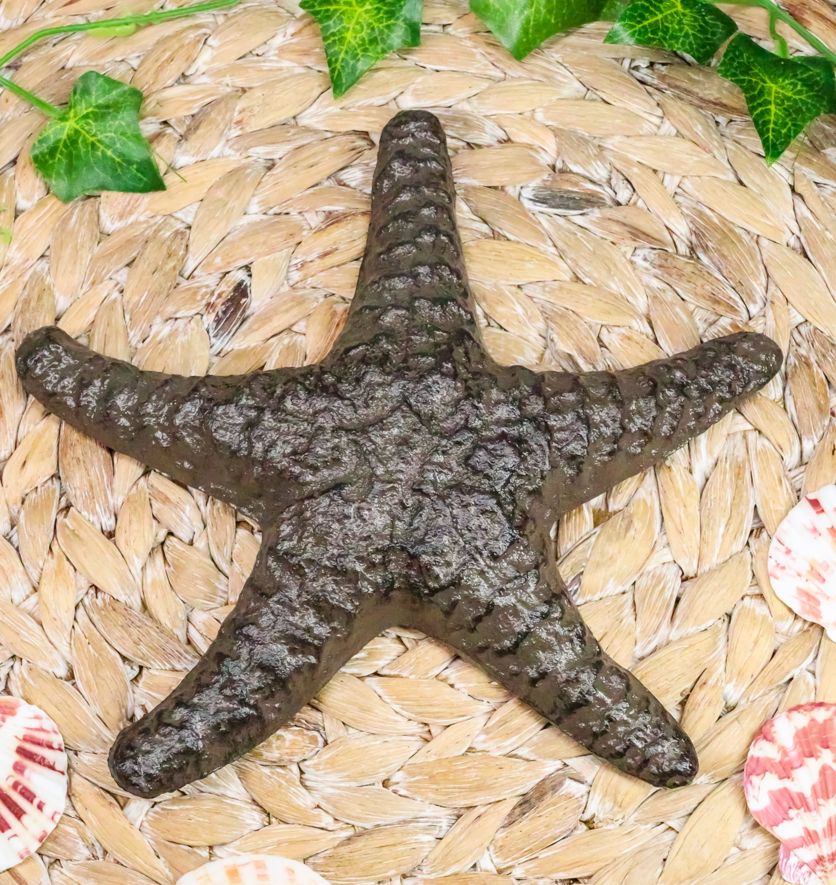 Ebros Cast Iron Sea Star Shell Starfish in Rustic Bronze Finish 7.75 ...