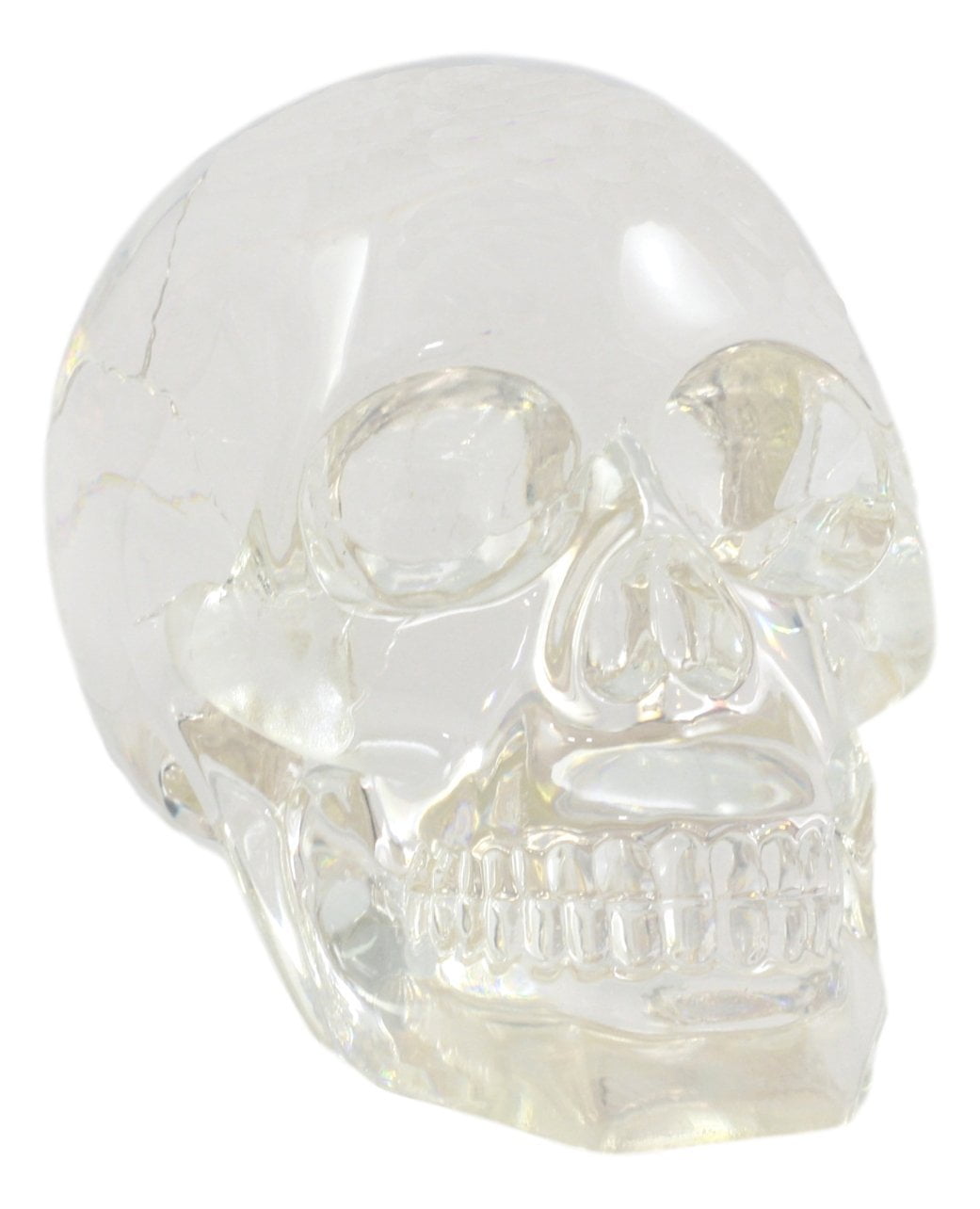 Ebros Clear Translucent Witching Hour Gazing Skull Statue 5.5" Long ...