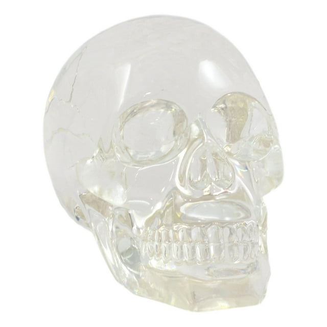 Ebros Clear Translucent Witching Hour Gazing Skull Statue 5.5" Long ...