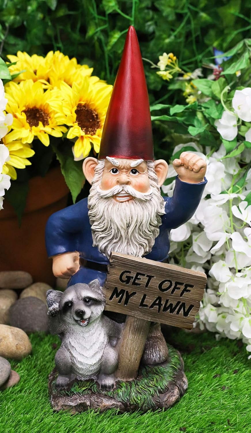 Ebros 'Get Off My Lawn' Grumpy Mr Gnome Dwarf with Feisty Raccoon ...