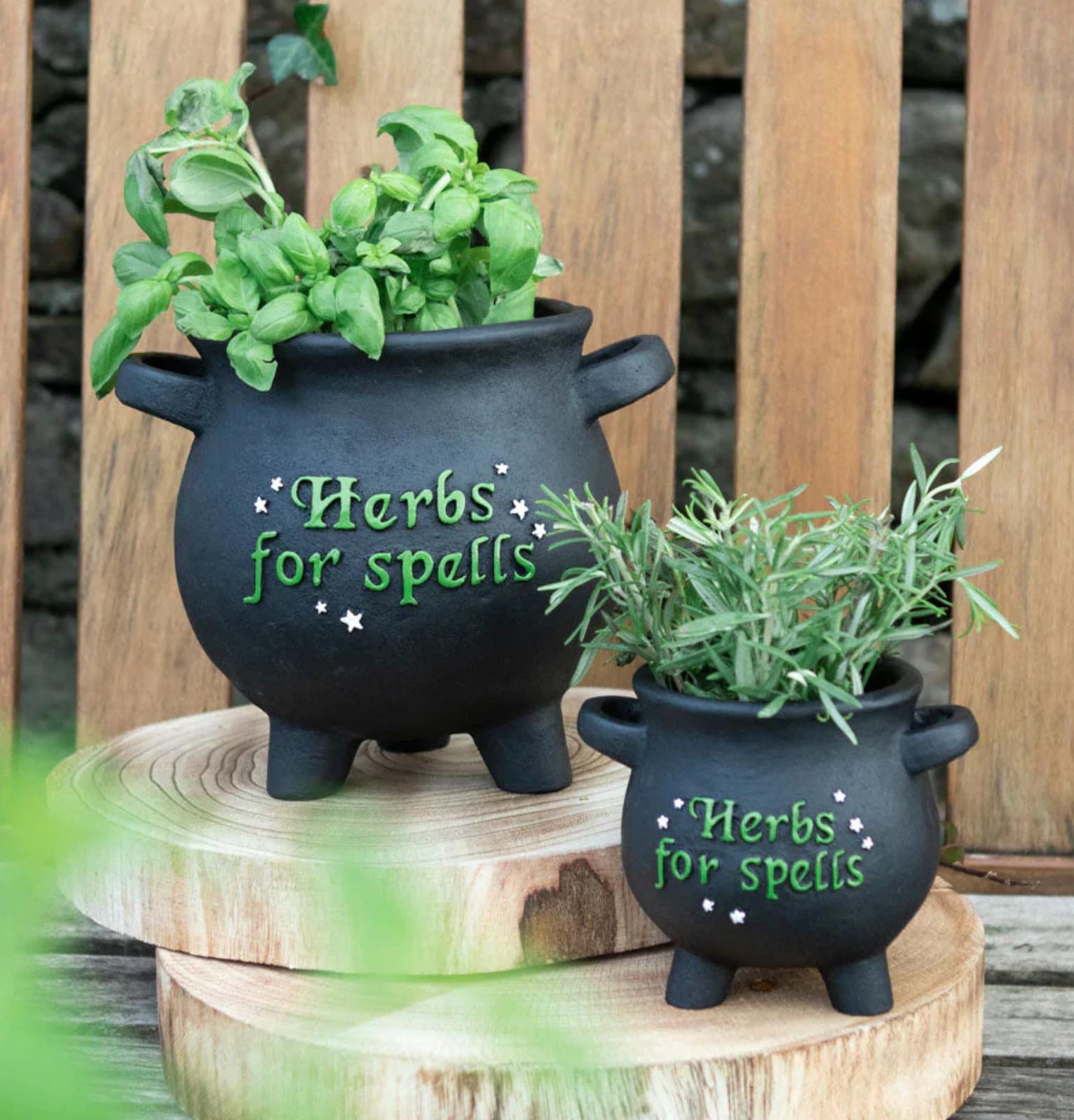 Green Thumb Witch Gardening, 2-Pack Terracotta Herbs For Spells ...