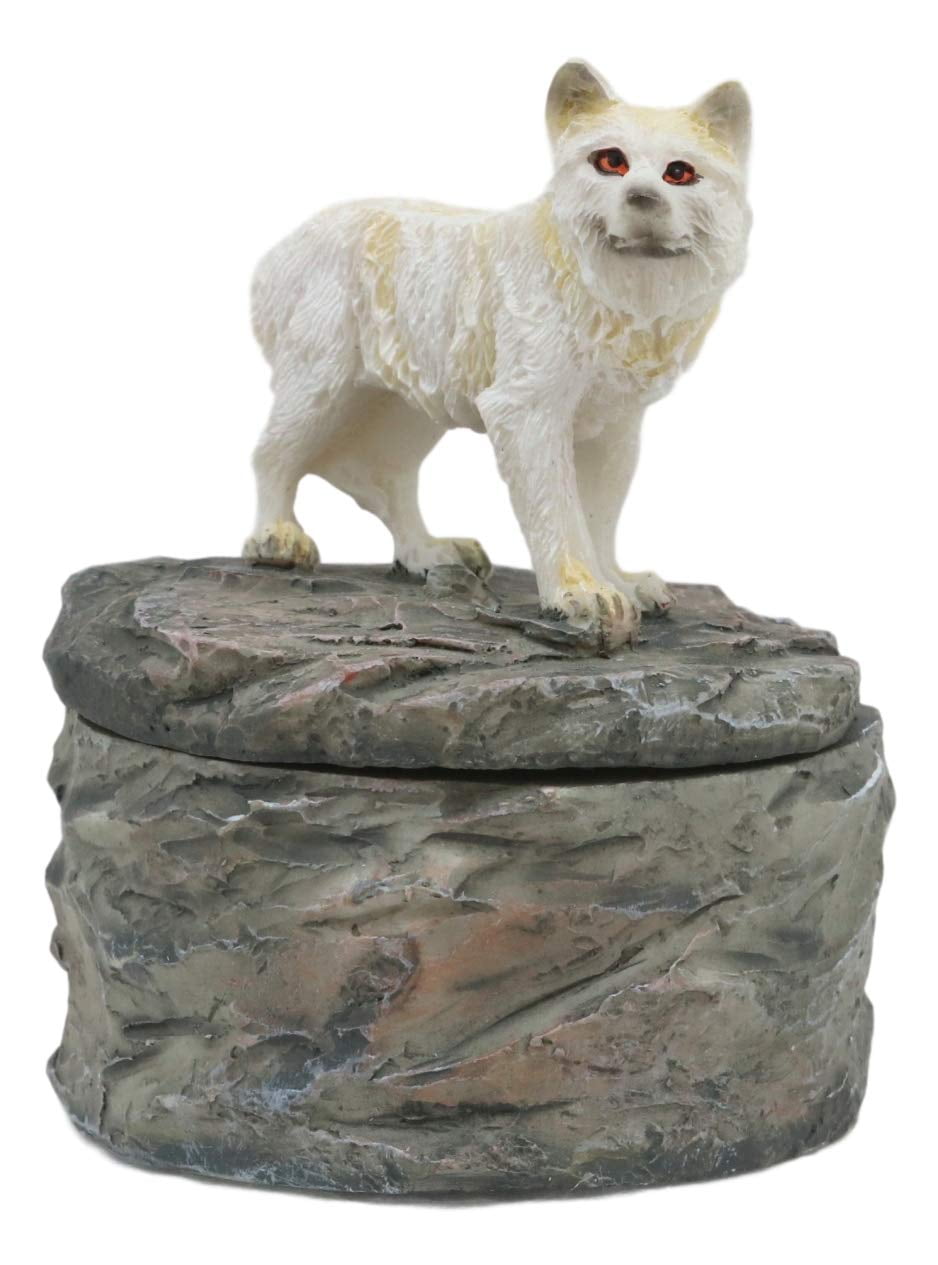 Ebros Gift Single Albino Snow White Wolf Rounded Jewelry Decorative Box ...