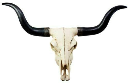 Ebros Large 27"Wide Longhorn Steer Cow Skull Wall Head Hanging ...