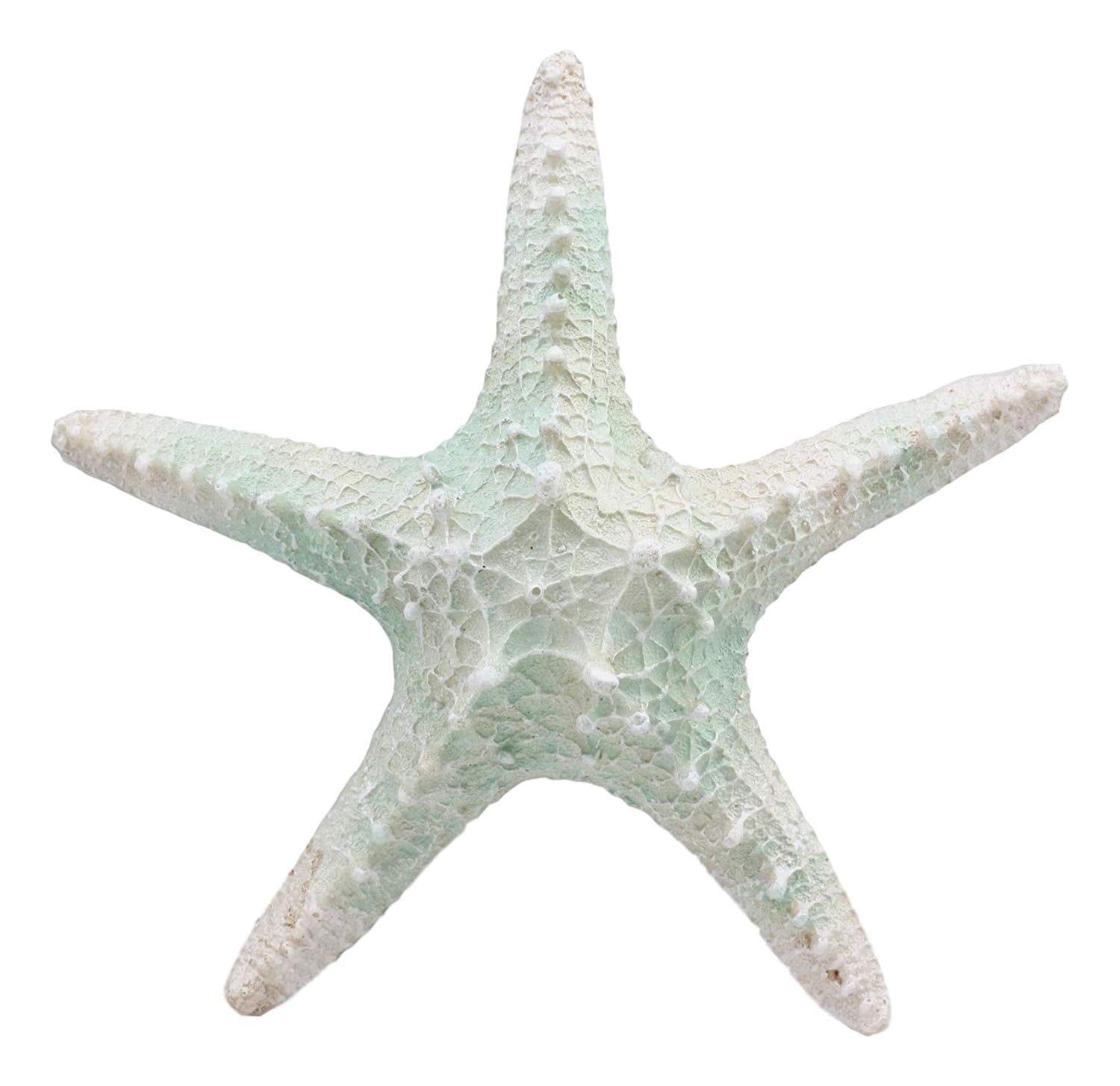 Ebros Large Ocean Coral Sea Star Shell Starfish Statue 8" Long Nautical ...
