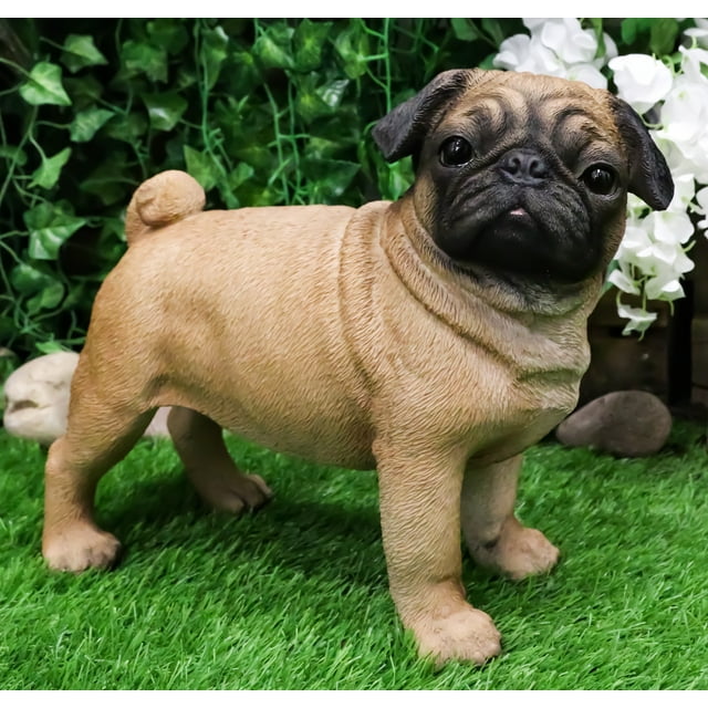 Ebros Decorative Large Realistic Fawn Pug Dog Statue, Fine Pedigree ...