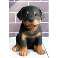 Ebros Lifelike Realistic Sitting Rottie Rottweiler Puppy Dog Statue 6. ...