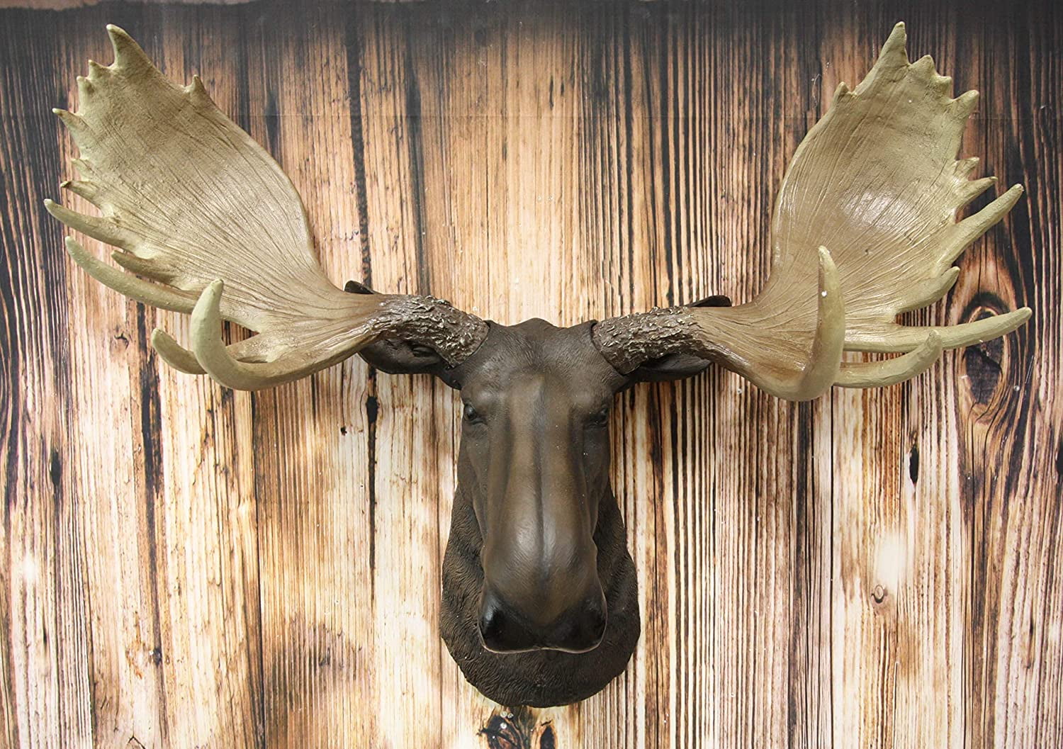 Ebros Gift Bull Moose Wall Decor, 24" Wide, Designer Resin, Painted ...
