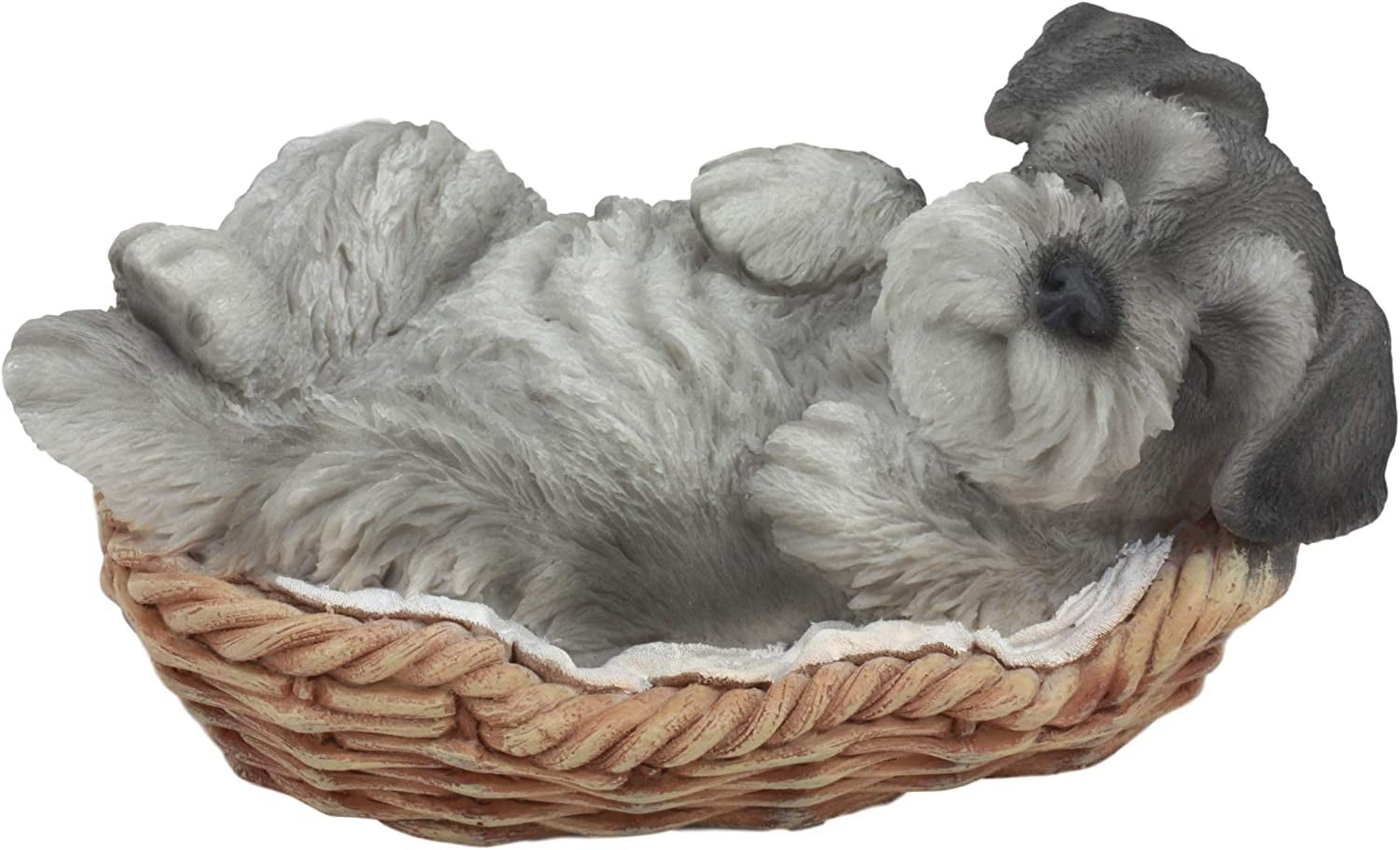 Ebros Realistic Miniature Schnauzer Puppy Figurine 7" Long Lifelike ...