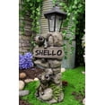 Ebros Rock Climbing Baby Tortoise Turtles With Greeting Sign & Solar ...