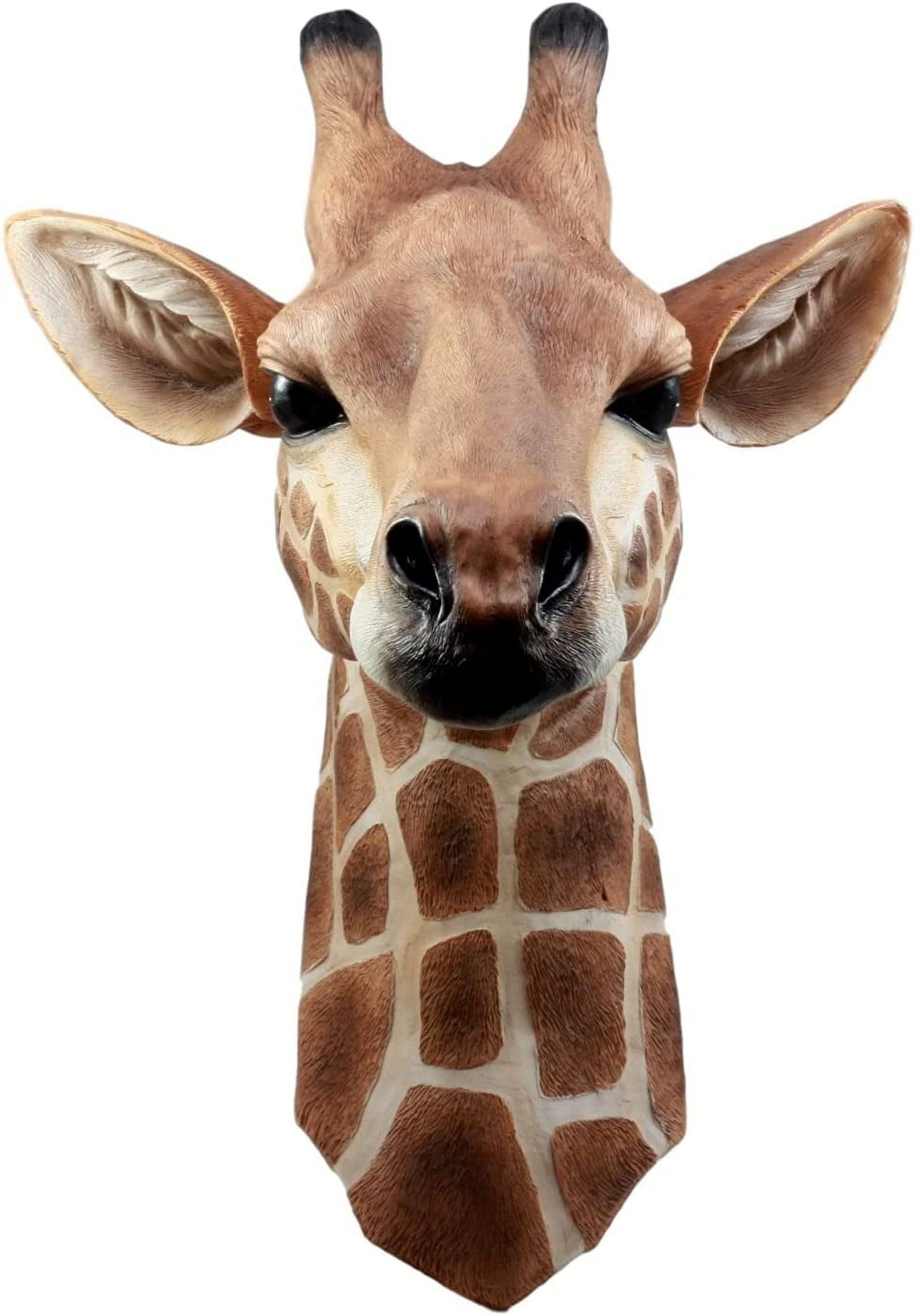 Ebros Safari Giraffe Head Trophy Taxidermy Wall Decor Wildlife Animal ...
