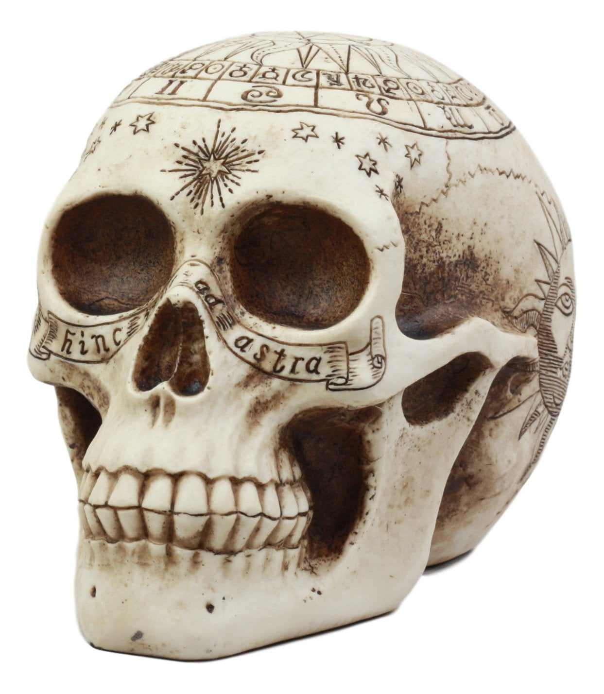 Ebros Solar Astrology Celestial Skull Statue Cartography Skull Cranium ...