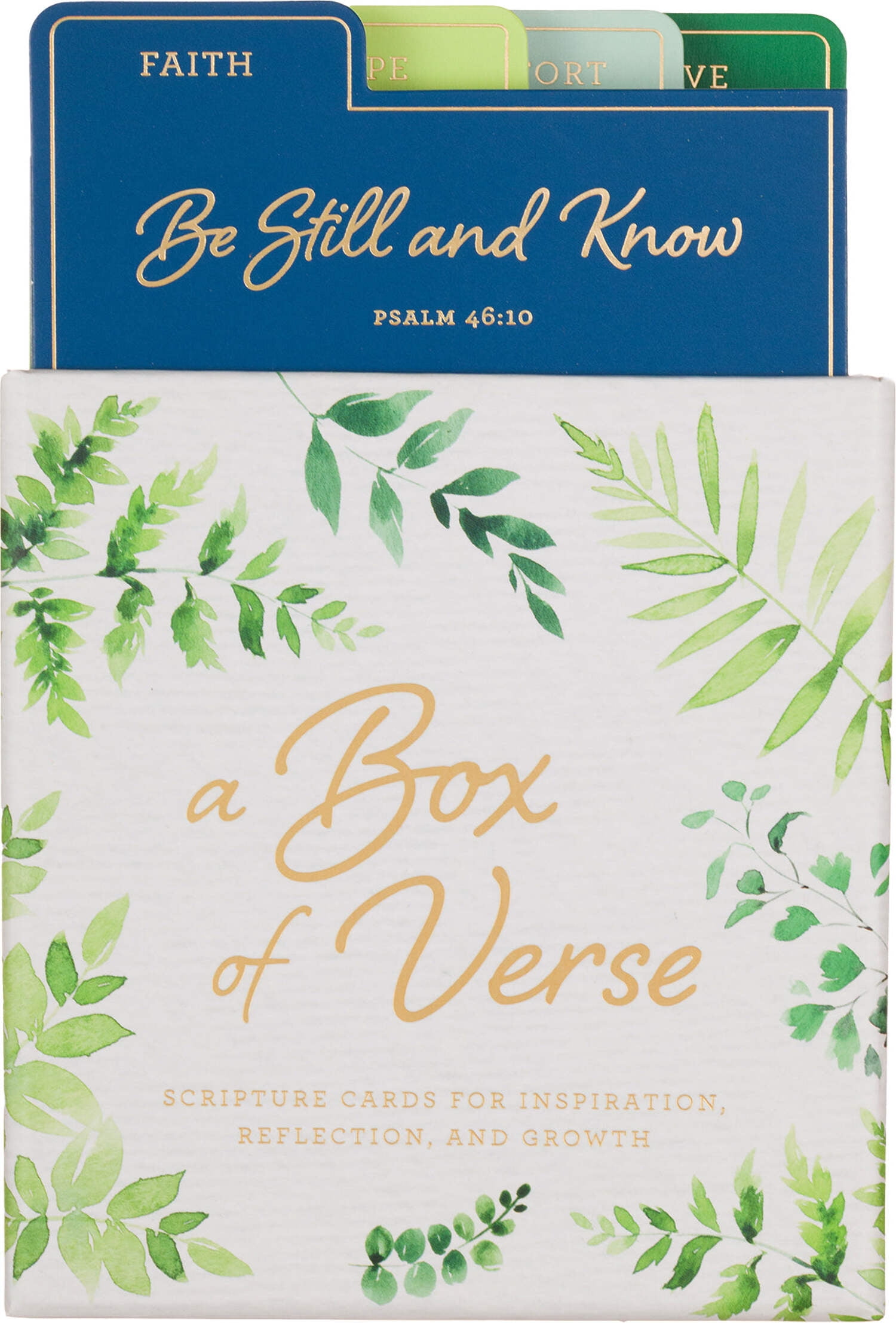 Eccolo Heatherlee Chan Box of Verse Prayer Cards Ferns - Walmart.com