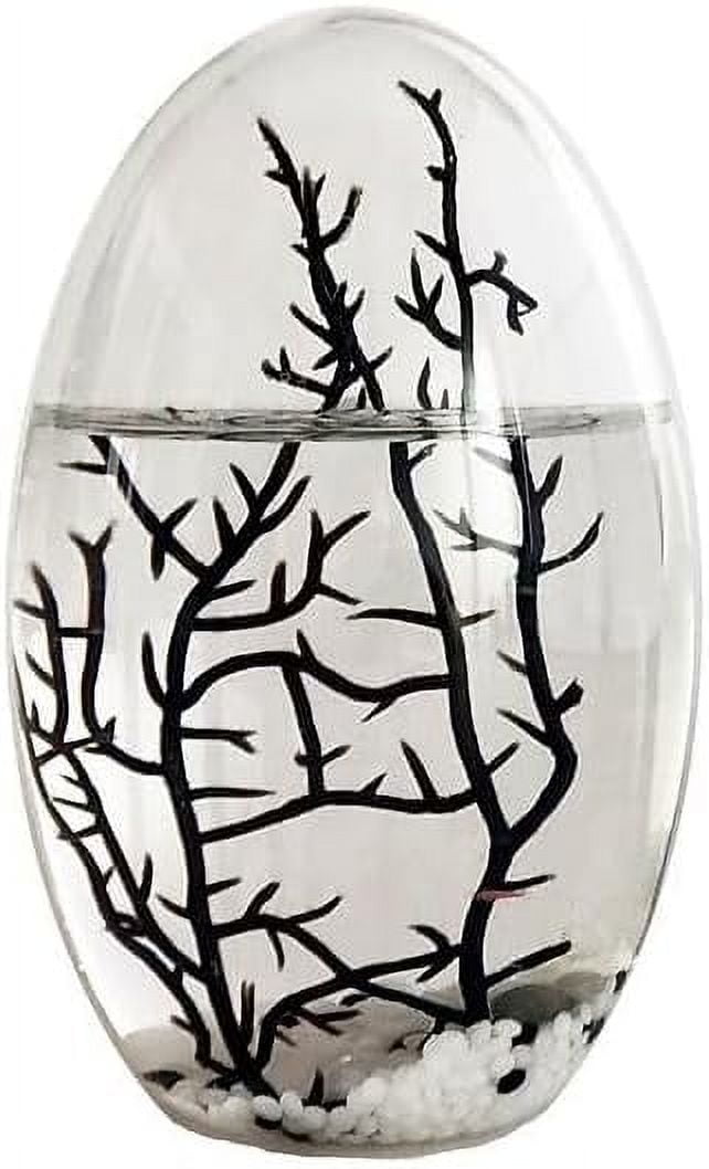 Eccosmo- Closed Ecosystem, Small Oval 5" - Walmart.com
