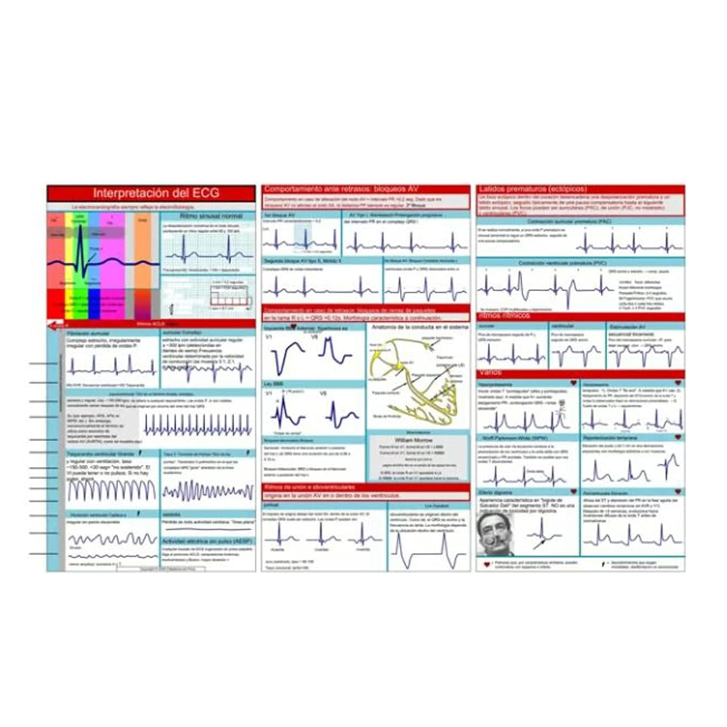 Ecg Pocket Card | Ekg Pocket Guide | Double-sided Tri-fold Pockets Ekg ...