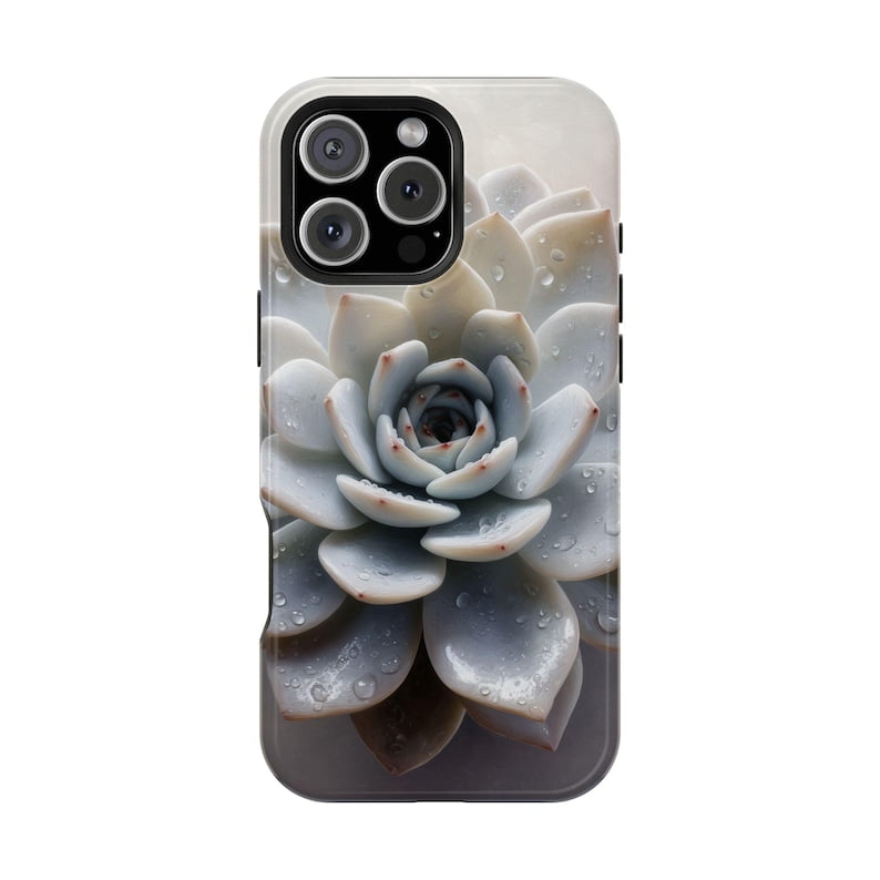 Echeveria Succulent Dew Botanical Flower Green Plant Illustration Phone ...