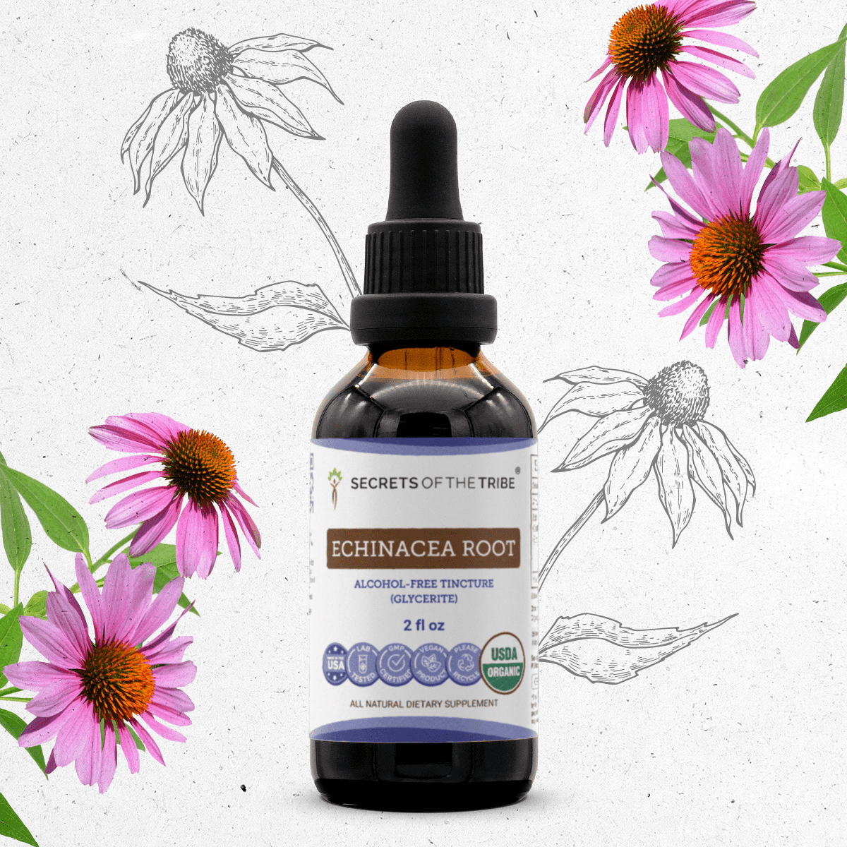 Secrets Of The Tribe Echinacea Root Organic Dietary Supplement, Natural ...