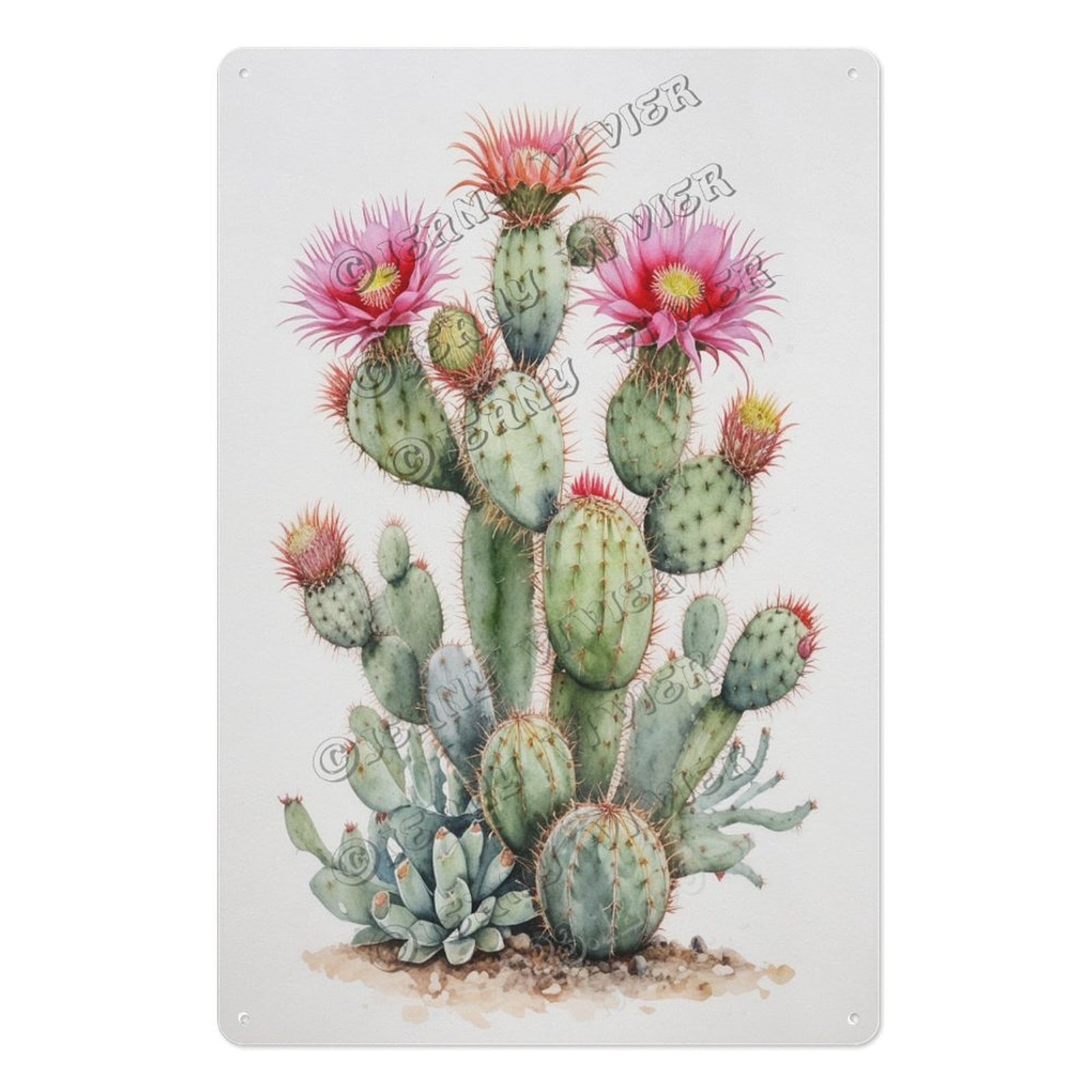 Echinocereus Cactus Metal Sign – Vintage Tin Wall Decor for Home ...