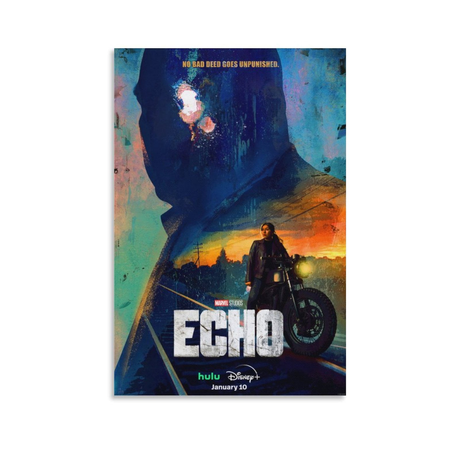 Echo Canvas Poster Wall Art Picture Prints Hanging Photo Gift Decor Home Posters Artworks ...