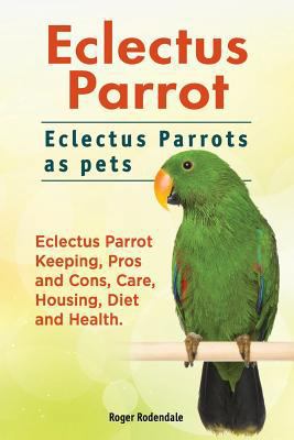 Pre-Owned Eclectus Parrot. Eclectus Parrots as pets. Eclectus Parrot Keeping, Pros and Cons ...