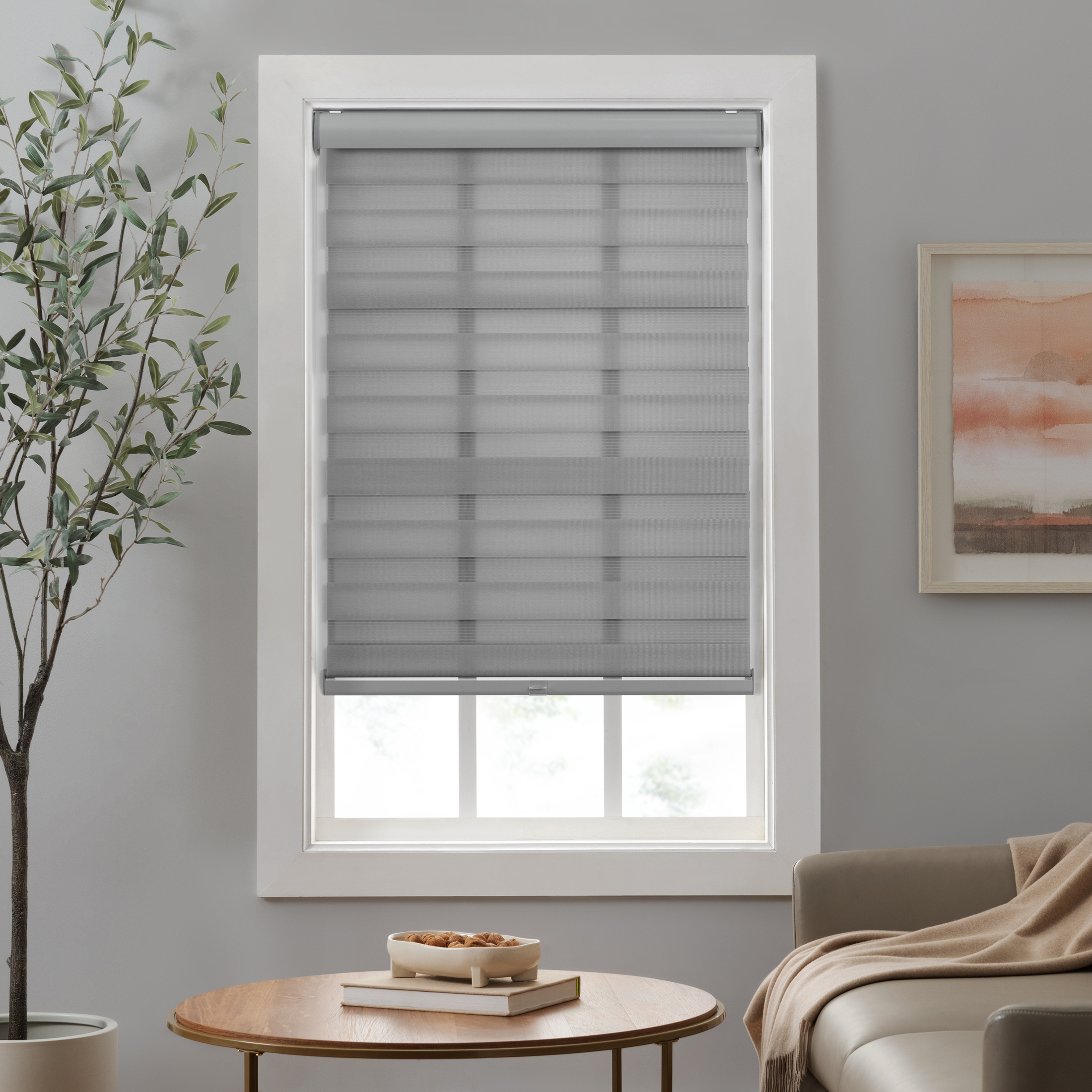 Eclipse Zebra Shades, Cordless Roller Shades, Light Filtering Window ...
