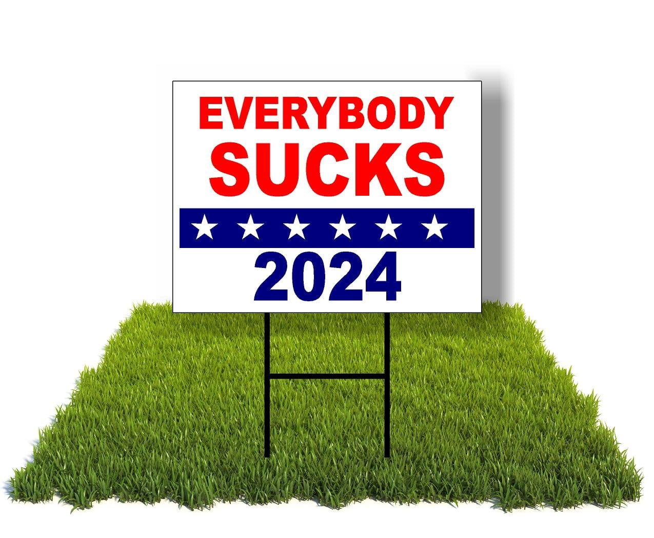 Eco EVERYBODY SUCKS 2024 POLITICAL 1 Double Sided 12x16 in Yard Road ...
