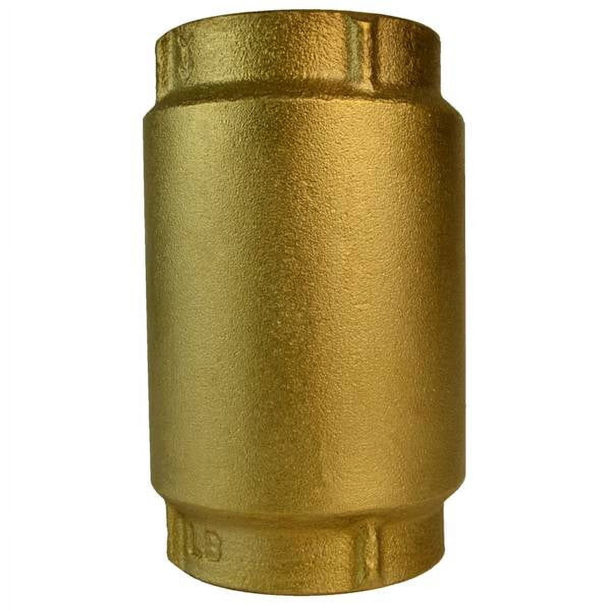 Eco-Flo 1-1/4" Brass Check Valve - Walmart.com